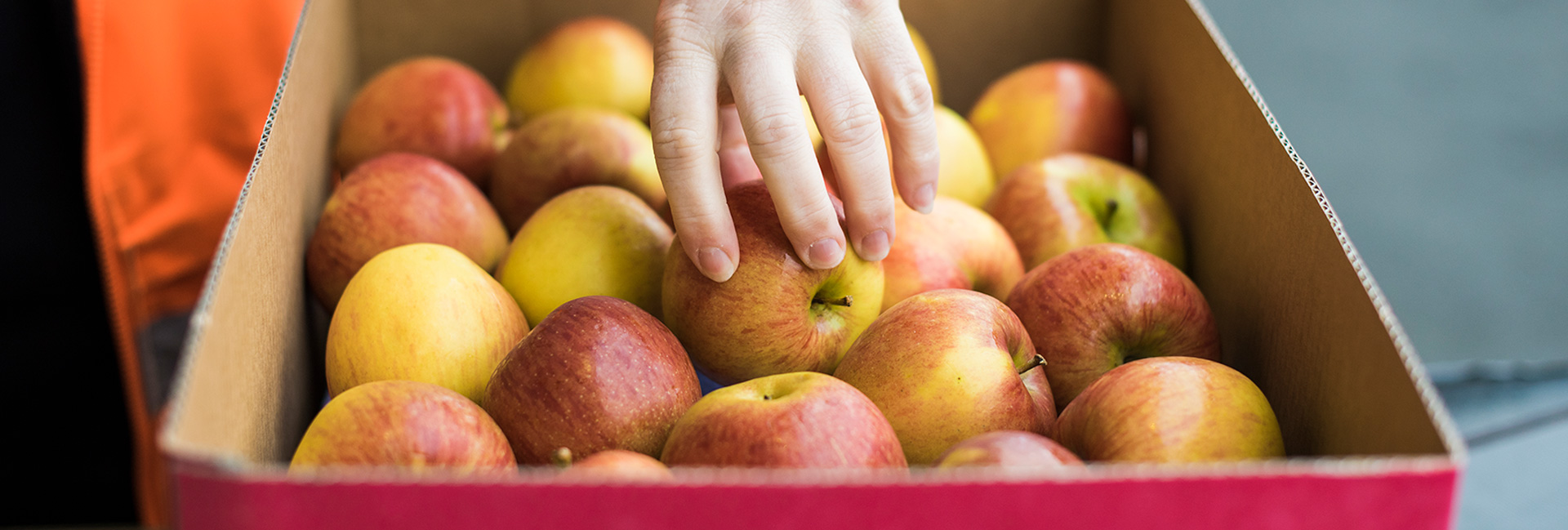 The Produce Specialists - PRIMOR PRODUCE