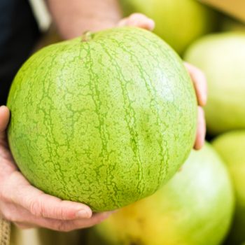 The Produce Specialists - PRIMOR PRODUCE